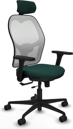 Piqueras y Crespo Ergonomischer atmungsaktiver Chorquera Stuhl mit 3D-Armen, h&ouml;henverstellbare Lendenwirbelst&uuml;tze und h&ouml;henverstellbares Kopfteil, Wei&szlig; / Flaschengr&uuml;n