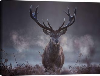 Posterlounge Ein majest&auml;tischer Rotwildhirsch atmet in der Winterluft aus Leinwandbild von Alex Saberi 70 x 50 cm Grau Wandbilder Wanddeko