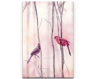 Paul Sinus Art Leinwandbilder | Bilder Leinwand 90x60cm Rotkardinal im Baum