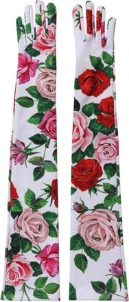 Dolce & Gabbana Floral Roses Elbow Gloves Size M