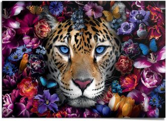 Reinders Giant Poster XXL, Power Cat, Wohnzimmer, Bilder, Wanddeko, Room Decor, Papier, Mehrfarbig, 100 x 140
