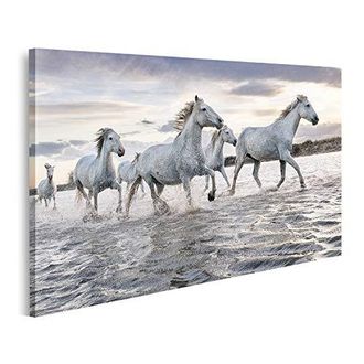 Islandburner Tableau sur toile Chevaux blancs Camargue France Chevaux blancs Galoping eau sur toute la mer Camargue France Impressions Art Poster Mural