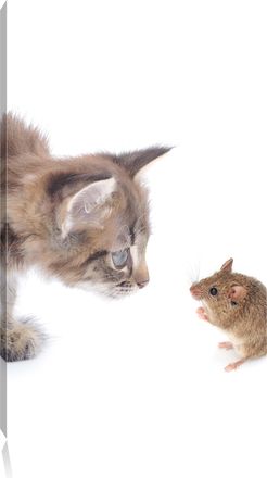 Pixxprint Katze und Maus Freunde, Größe: 60x40cm, Leinwandbild, fertig gespannt, Wandbild, Dekoration, Kunstdruck, kein Poster