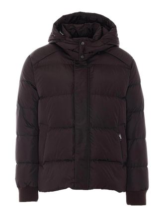 Add Blouson Rembourr&eacute; - Marron