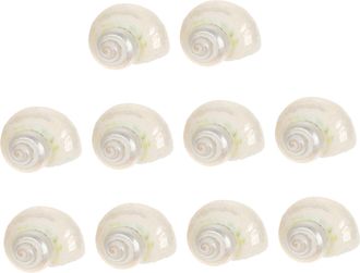 Minkissy 10st Aquarium Muschel Aquariumdekoration Einsiedlerkrebs, Der Das Geh&auml;use Wechselt Ozeandekorationen Einsiedlerkrebse Tauschen Muscheln Aquarium- Nat&uuml;