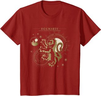 Harry Potter Bravery, Deterimation, Courange, Gryffindor T-Shirt