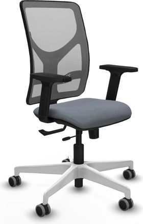 Piqueras y Crespo B&uuml;rostuhl mit R&uuml;ckenlehne mit 2D-Armlehnen, h&ouml;henverstellbare Lendenwirbelst&uuml;tze, ausgestattet mit Syncro/Translack und Schneideschaum, Grau/Grau