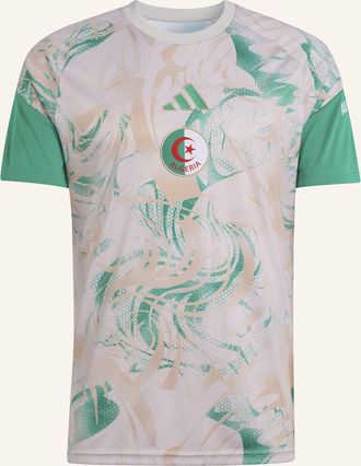 adidas Algerien 26 Pre-Match Ausw&auml;rtstrikot beige