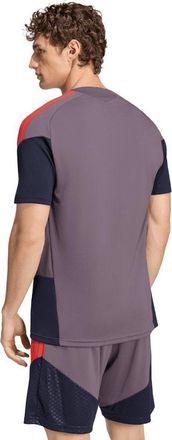 adidas Performance T-Shirt FC Bayern M&uuml;nchen, Trainingsshirt UCL Teamline, Herren, Lila