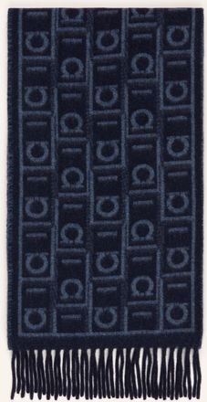 Ferragamo Ferragamo Schal Mit Cashmere blau