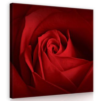 ForWall Leinwand Bilder - Blumen Rosa Rosen Rot - 40x40 cm Leinwandbilder - Bild auf leinwand - Wandbild XXL groß Wandbilder für Wohnzimmer Schlafzimmer Wohnz