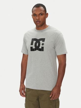 DC T-Shirt ADYZT05373 Grau Regular Fit
