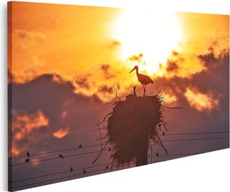 Islandburner Bild auf Leinwand Störche füttern Babies Nest gegen Sonnenuntergang Himmel Wolken Störche füttern Babies Nest gegen So Wandbild Leinwandbild Bilder fü