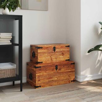 vidaXL Coffre de rangement 2 pcs Bois de manguier brut Vidaxl