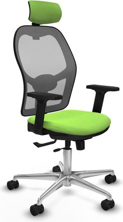 Piqueras y Crespo Ergonomischer Stuhl Home Office mit 2D-Armen, h&ouml;henverstellbare Lendenwirbelst&uuml;tze und Kopfteil, h&ouml;henverstellbar und neigbar, Grau/Pistazie