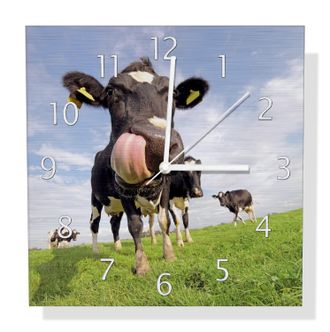 Wallario Design Wanduhr Lustige Kuh auf der Weide mit herausgestreckter Zunge aus Aluverbund, Alu-Uhr Größe 30 x 30 cm, weiße Zeiger mit Metalloptik
