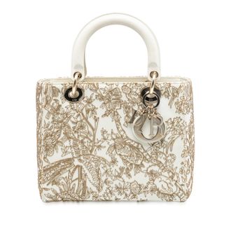 Dior Gold Medium Calfskin Embroidered Astrology Lady Dior