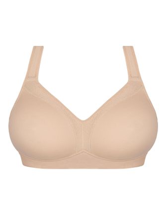 Gorsenia BH K422 Anya