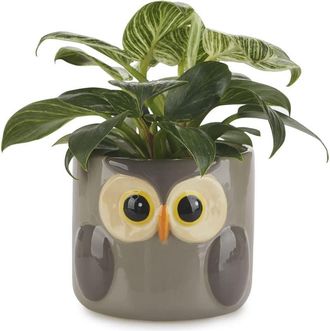 Balvi Blumentopf Owl Farbe Grau Origineller Blumentopf in Form Einer Eule Keramik 11,7 x 13,5 x 13,5