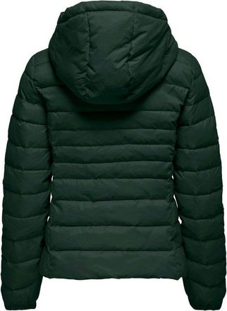 Only Steppjacke ONLTahoe (1-St)