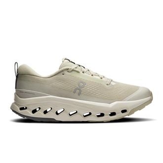 On Cloudsurfer Trail 2