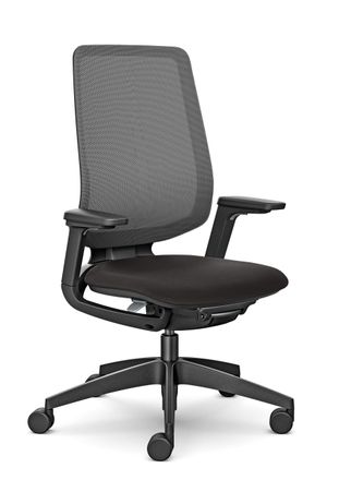 Sedus se:flex schwarz, B&uuml;rostuhl, Drehstuhl, schwarz, mit Armlehnen, Membran