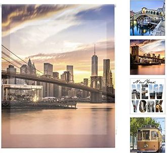 Blindecor Roller Digital Durchsichtiges Rollo, Digitaldruck 110 x 180 cm