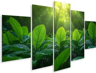 Islandburner Bild auf Leinwand Sonnendurchflutetes Waldunterholz für Wohnzimmer Naturliebhaber Arztpraxis Bilder Wandbilder Poster