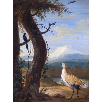 Fine Art Prints Agricola Bustard Elster Exotische Landschaft, Malerei, Vintage, extra gro&szlig;er Kunstdruck, Wandbild, Poster, Premium XL