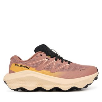 Salomon Laufschuhe Salomon Ultra Flow 2 Gtx L47884500 Rosa