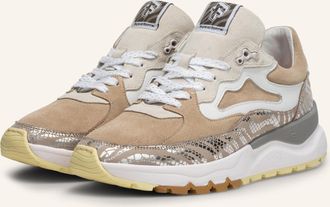 Floris Van Bommel Floris Van Bommel Sneaker Treni 01 beige