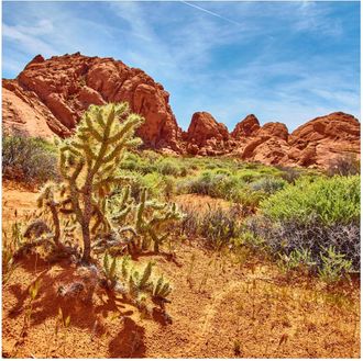 Wallario Sticker/Aufkleber f&uuml;r K&uuml;hlschrank/Geschirrsp&uuml;ler/K&uuml;chenschr&auml;nke, Selbstklebende Folie - 60 x 60 cm, Motiv: Felsenw&uuml;ste