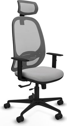 Piqueras y Crespo Stuhl mit Lendenwirbel- und Nackenst&uuml;tze mit 1D-Armlehnen und h&ouml;henverstellbarem Kopfteil, ausgestattet mit Syncro/Traslack und Schneideschaum, Grau/H