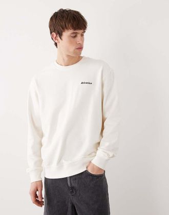 Dickies Loretto - Sweat - Naturel-Blanc
