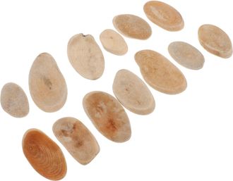 Hemobllo Tofficu Natur Treibholz Vasenf&uuml;ller Satz Filigrane Holzst&uuml;cke zum Basteln und Hochzeitsdeko Oval Vielseitig f&uuml;r Tischdekoration und Selbstgemacht Vase