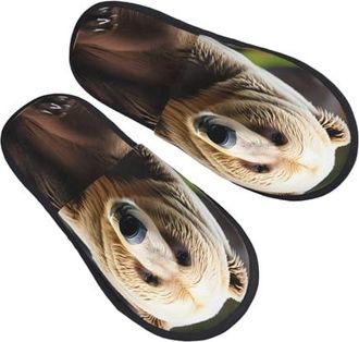 Generic Ours Blanc Ours Brun Homme Femme Chaussures De Maison L&eacute;g&egrave;res Pantoufles Respirantes Slippers Pour Int&eacute;rieur Automne Ext&eacute;rieur M