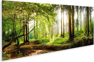 Islandburner Bild auf Leinwand Schöner Wald Frühling Helle Sonne Leuchtende Bäume Schöner Wald Helles Sonnenlic Bilder Wandbilder Poster