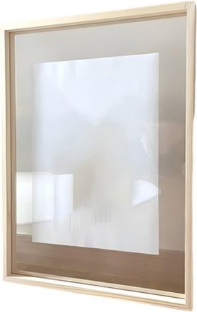 Generic Doppelseitiger Schattenfugenrahmen Aus Holz, Schattenfugenrahmen F&uuml;R Leinwand Im A4-Format, Bilderrahmen Mit Blattmotiv, Staubdicht(10IN)