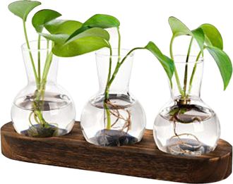 Generico Pflanzgef&auml;&szlig;e - Wurzelterarium mit Holzsockel, hydroponischer Glastopf mit Holzrahmen, f&uuml;r Schlafzimmer, Wohnzimmer, B&uuml;ro, Tisch, Theke