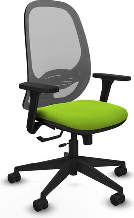 Piqueras y Crespo Cilanco verstellbarer Schreibtischstuhl mit 3D-Armen, h&ouml;henverstellbare Lendenwirbelst&uuml;tze, ausgestattet mit Syncro/Traslack und Schneideschaum, Grau/