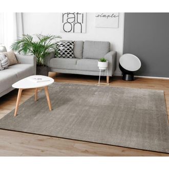 Paco Home Paco Home - Tapis Moderne Salon &agrave; Poils Courts Lavable Doux Uni Effet Fourrure Antid&eacute;rapant Gris, 200x280 cm