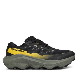 Salomon Laufschuhe Salomon Ultra Flow 2 Gore-Tex L47883200 Schwarz