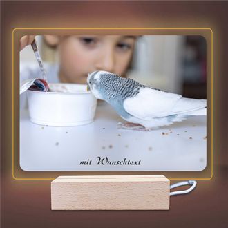 Indigos UG LED Lampe personalisiert - Wellensitich - quer - personalisierte Lampe - mit Foto & Wunschtext - Geschenk - Acrylglas 14x12 cm - optionale Lampe warmw