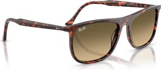 Ray-Ban Sonnenbrillen Ray-Ban 0RB2216 Braun