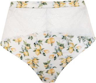SugarShape String GRACY