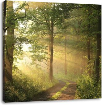 Pixxprint Waldweg im Winter, Gr&ouml;&szlig;e: 70x70, Leinwandbild Quadratisch, Wandbild, Kunstdruck, fertig bespannt