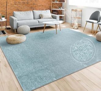 Paco Home Tapis Salon Uni Sobre Et Moderne Poils Ras, Diff. Tailles/Coloris, Dimension:120 cm Rond, Couleur:Turquoise