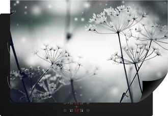 Decorwelt Herdabdeckplatte aus Kunststoff Induktionsmatte Herdabdeckmatte Abdeckung Ceranfeld Pusteblume Grau 80x52 cm Abdeckplatte Ceranfeldabdeckung Antirutsc