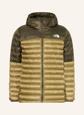 The North Face Steppjacke Terra Peak Hoodie gruen