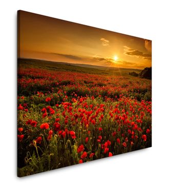 Paul Sinus Art Mohnfelder 120x 80cm Inspirierende Fotokunst in Museums-Qualit&auml;t f&uuml;r Ihr Zuhause als Wandbild auf Leinwand in